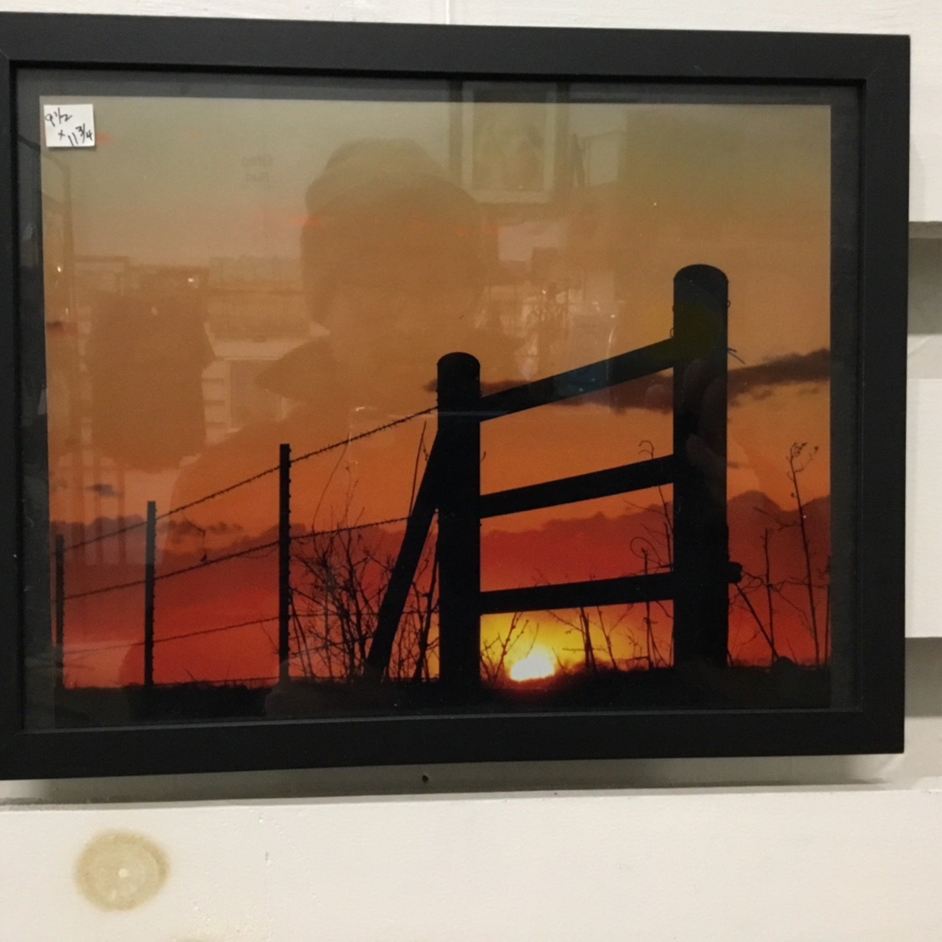 Farm Fence Silhouette | Switchgrass